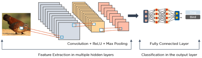 Top 10 Deep Learning Algorithms You Should Know